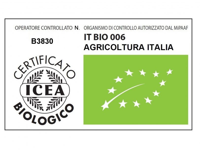 Miele di Girasole Biologico - Empoli al Centro